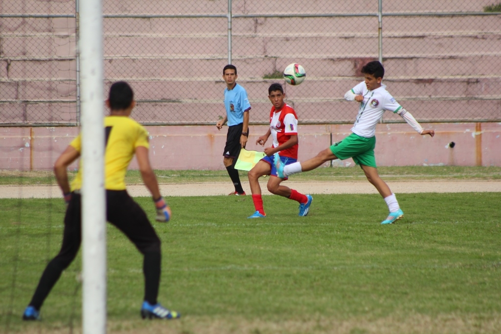 Cuatro clubes merideños Compiten en el Clausura de la Serie de Oro ...
